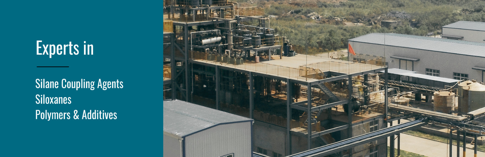 Quality Organic Silicones & Silicone Polymers factory from China